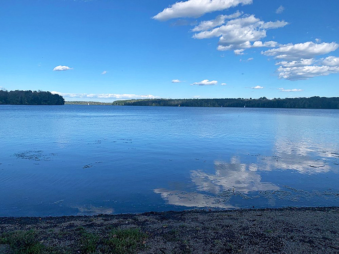 Mirror, mirror on the lake. When Lake Nockamixon shows off its reflective powers, even the clouds come down for a closer look.