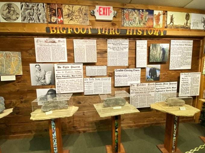 The "Bigfoot Thru History" exhibit showcases centuries of newspaper clippings and sightings. History's longest-running game of hide-and-seek, meticulously documented.