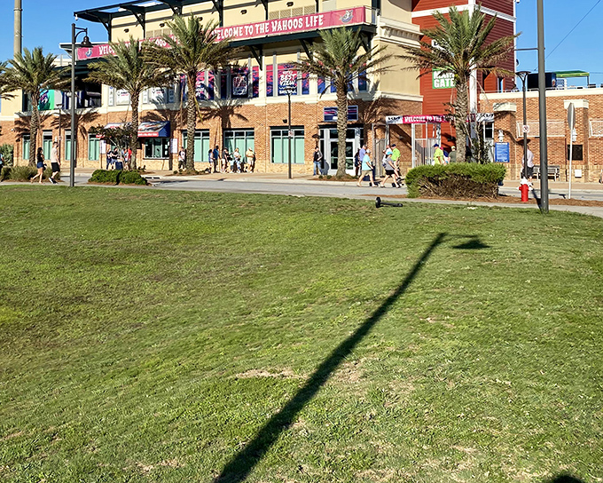 Blue Wahoos Stadium brings baseball to the waterfront, creating the perfect marriage of America's pastime and Gulf Coast views. Foul balls occasionally get swimming lessons.