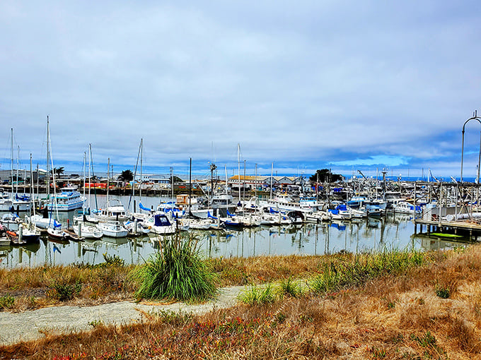 Maritime poetry in still life. The harbor's gentle waters reflect masts and memories, while fishing boats await their next dance with the sea.