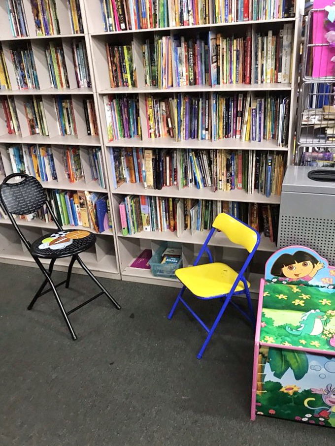 A bibliophile's dream corner where colorful spines promise adventures, recipes, and knowledge for pennies on the dollar.