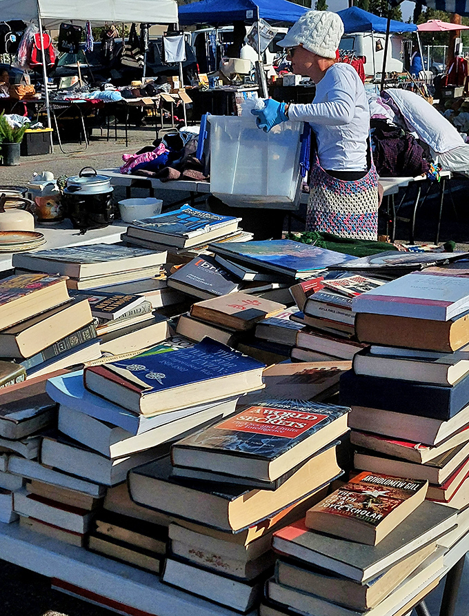 Books stacked higher than my last credit card bill, offering endless worlds for less than the price of a fancy coffee.
