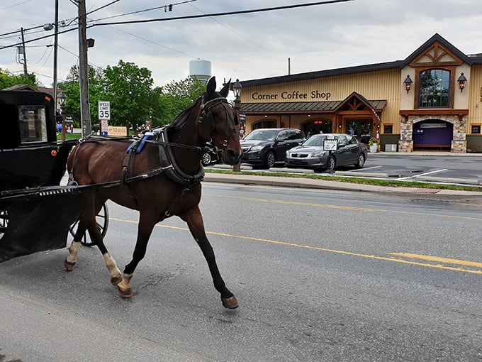 Morning commute, Amish-style. No road rage, no radio commercials&mdash;just the rhythmic clip-clop that's been the soundtrack here for centuries.