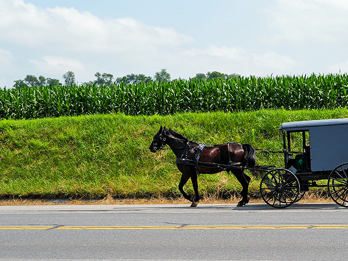 Transportation that never goes out of style &ndash; while we worry about gas prices, the Amish concern themselves with hay and oats.