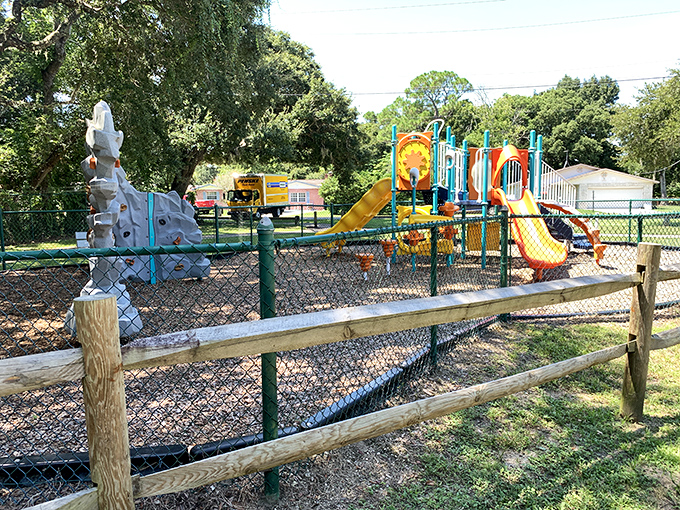 Neighborhood playgrounds: where childhood memories are made and parents secretly wish the slides were adult-sized too.