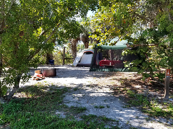 Camping with a side of paradise. Where your morning alarm is a chorus of seabirds and your ceiling is a canopy of stars.