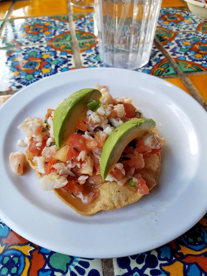 Ceviche so fresh it practically winks at you. Those slices of avocado are like the backup singers to the seafood's lead performance.