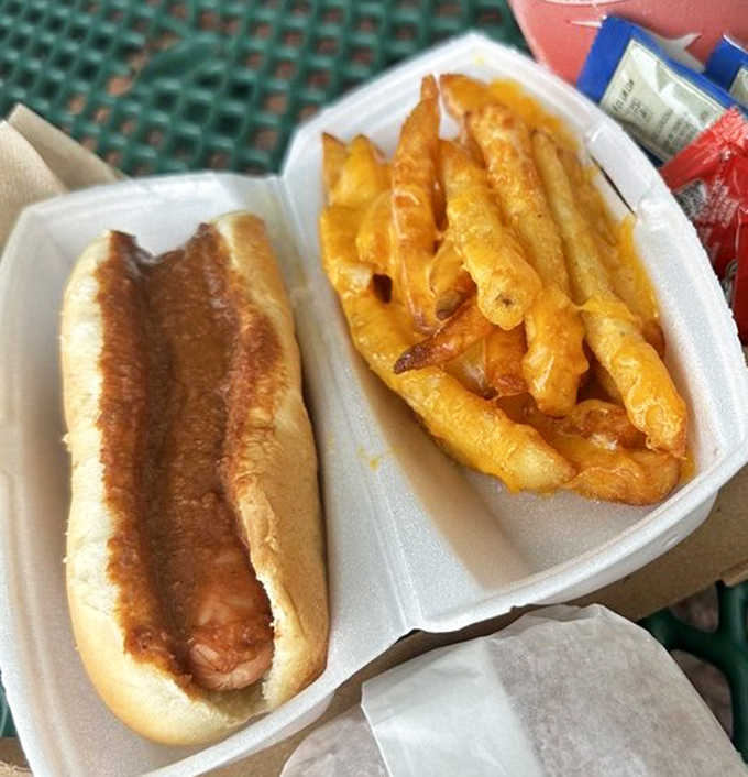The classic combo: a perfectly grilled hot dog nestled in its bun alongside golden cheese fries. Some partnerships are just meant to be.