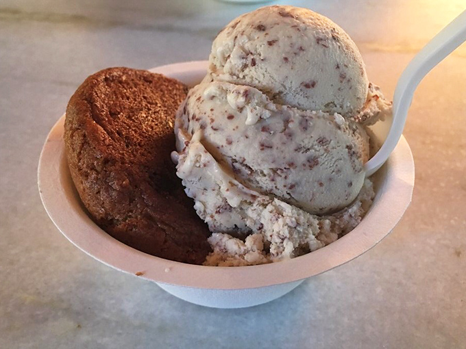 A delightful dance of texture and temperature&mdash;rich ice cream paired with what appears to be a homemade cookie.