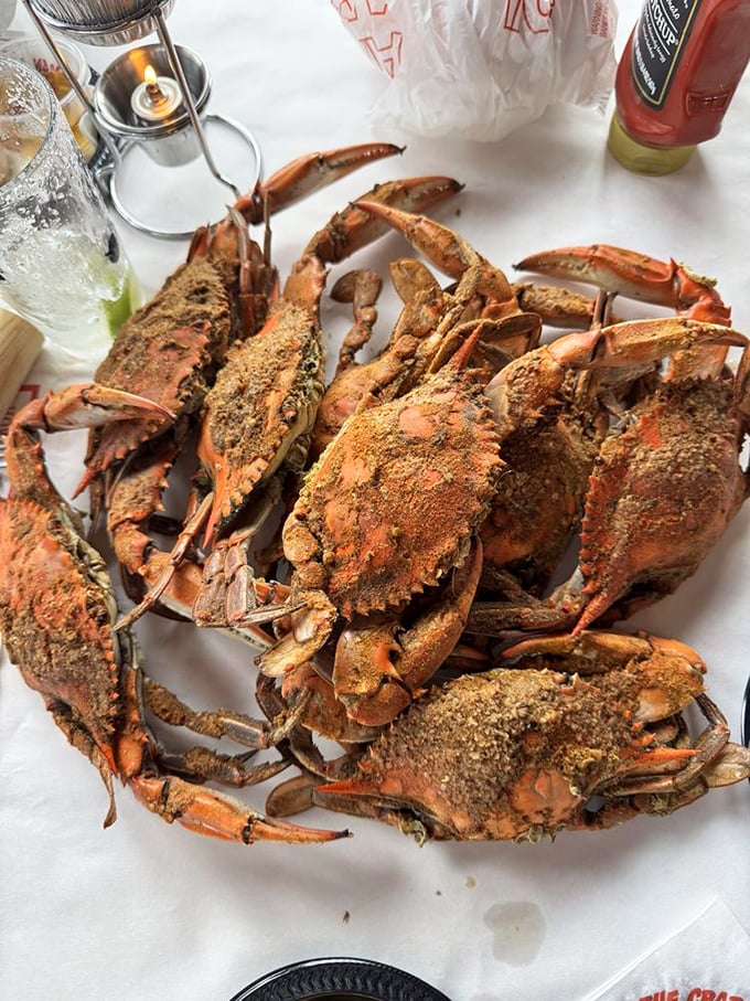 Old Bay-crusted crustaceans in their final glory. The newspaper may be missing, but the wooden mallet symphony is about to begin.