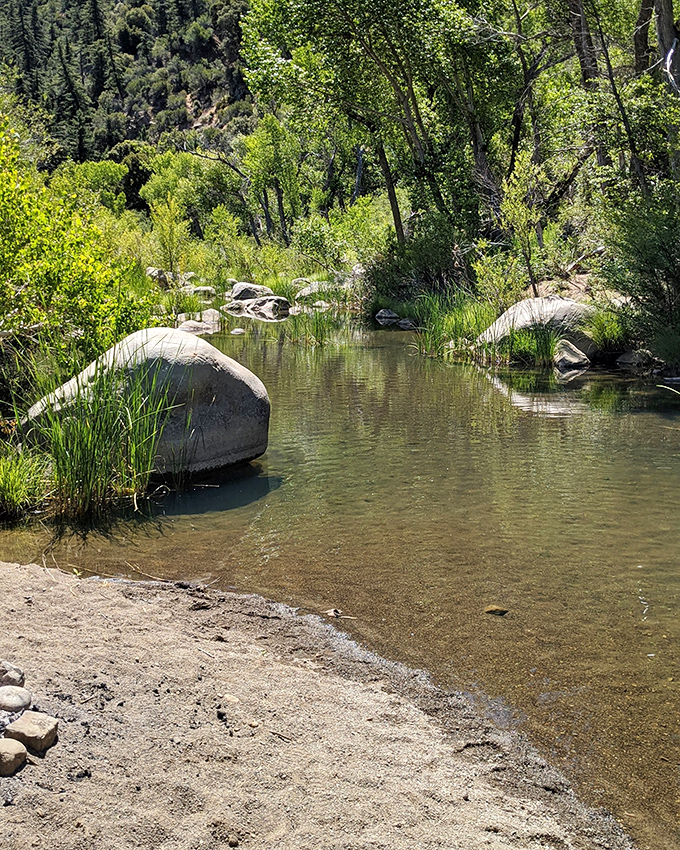 Sespe Creek's gentle current creates nature's perfect meditation soundtrack. Those white rocks look like they've been strategically placed by a zen master.