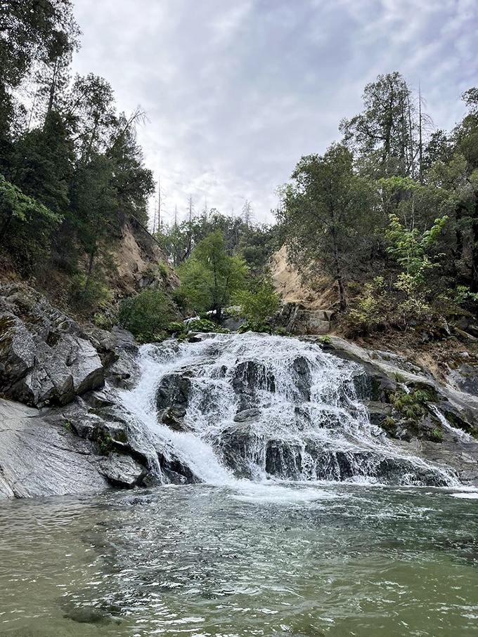 Mother Nature's infinity pool. Crystal Creek Falls cascades over ancient rocks, creating the kind of swimming hole that makes you forget streaming services exist.