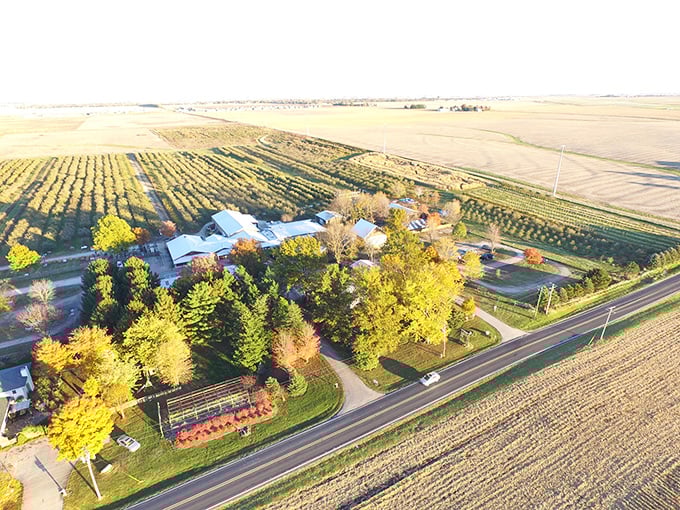 The quintessential Midwest autumn experience awaits at local orchards, where farmland stretches to the horizon and seasonal treats beckon.