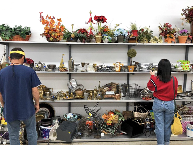 Treasure hunters examine shelves where someone's former tchotchkes await their second act. One person's dusty knickknack becomes another's prized conversation piece.