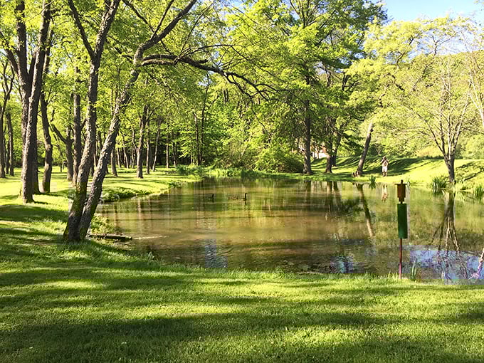 Nature has reclaimed what was once an industrial landscape, turning Oil Creek Park into a serene retreat that would make Bob Ross reach for his happy trees.