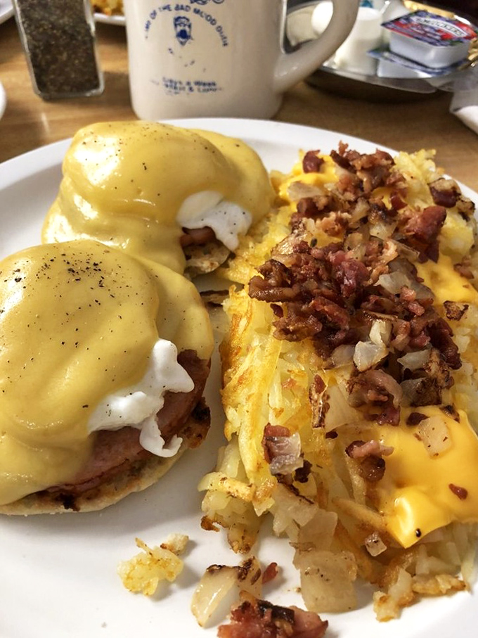 Eggs Benedict done right&mdash;a hollandaise cascade over perfectly poached eggs. The kind of breakfast that makes you rethink your life choices in the best possible way.