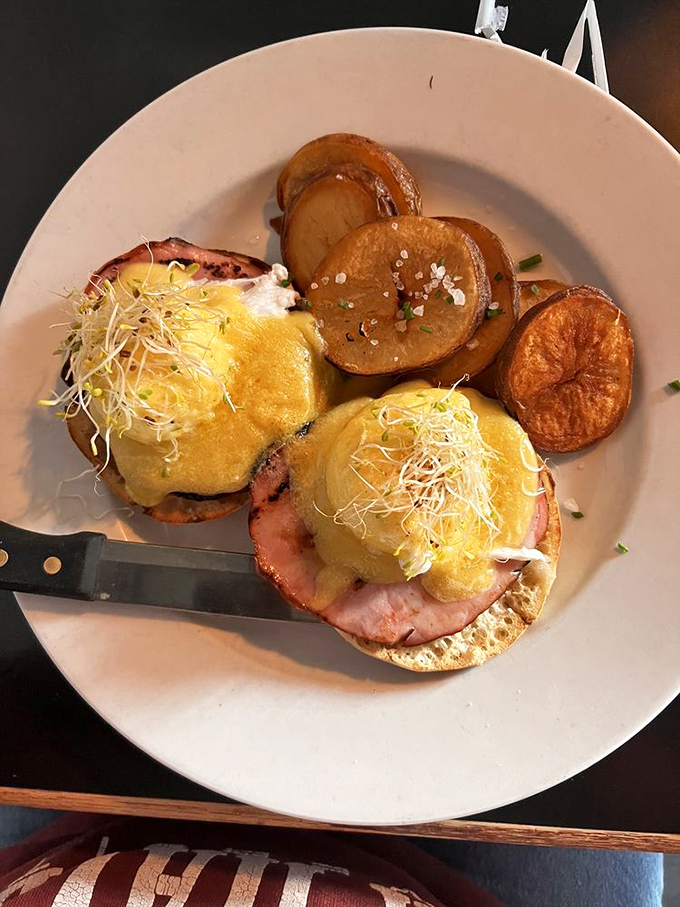 Eggs Benedict elevated to art form, where hollandaise sauce flows like liquid sunshine over perfection.