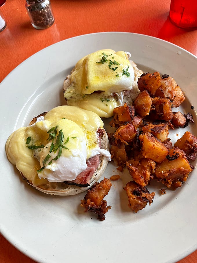 Eggs Benedict elevated to an art form. Those perfectly poached eggs perch atop Canadian bacon like royalty on velvet cushions.