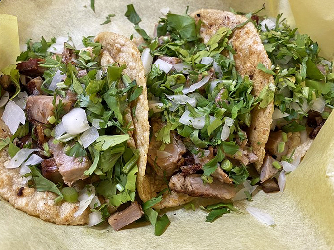 These suadero tacos are wearing their cilantro and onion crowns proudly, like royalty of the taco kingdom.