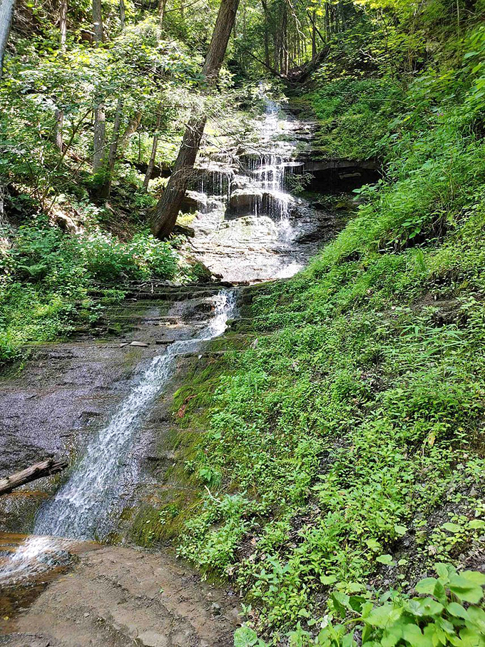 Water finding its path of least resistance creates the most resistance-melting view. This cascade is nature's version of stress management therapy.