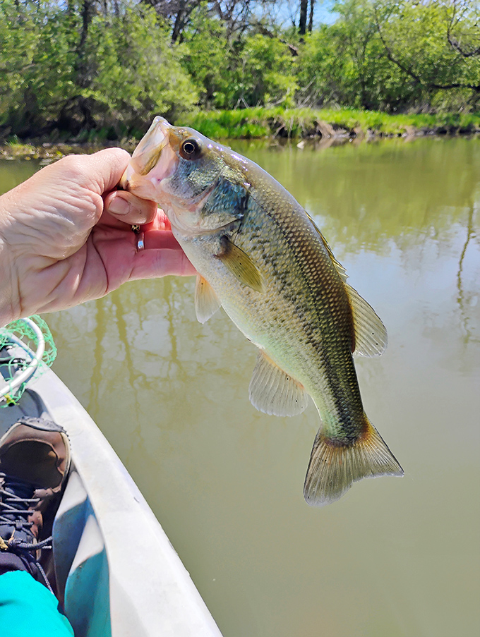 The universal truth of fishing: even a "small" catch becomes legendary when you're the one holding it.