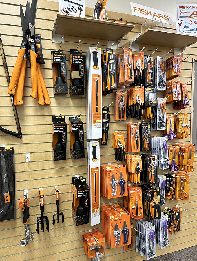 Fiskars tools: where gardening meets engineering. Orange-handled precision that makes your neighbor's rusty trowel look like a Stone Age relic.