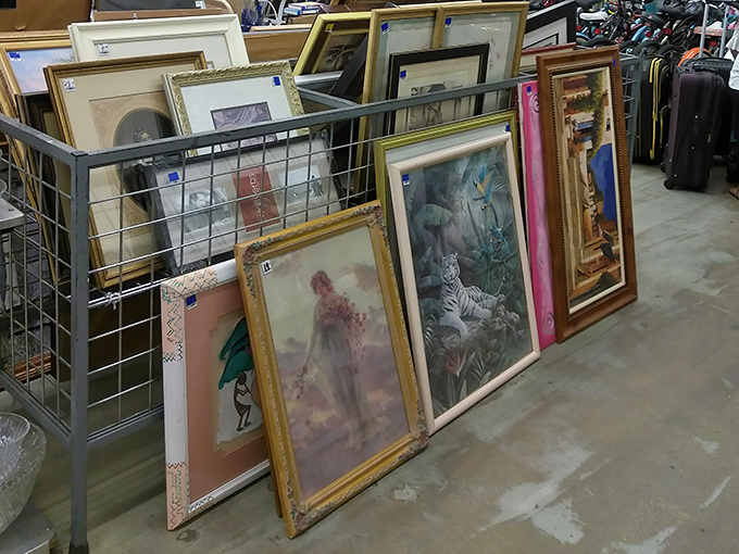 Gallery-worthy art waits patiently for walls that appreciate beauty without the museum-level price tags attached.