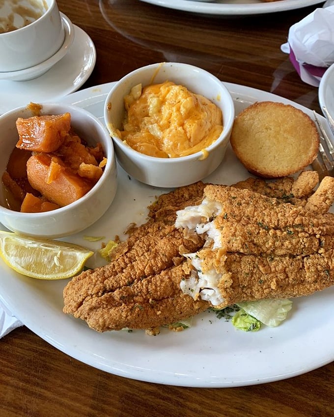 The catfish arrives crispy-coated and ready for its close-up, while those sides huddle nearby like delicious supporting actors.