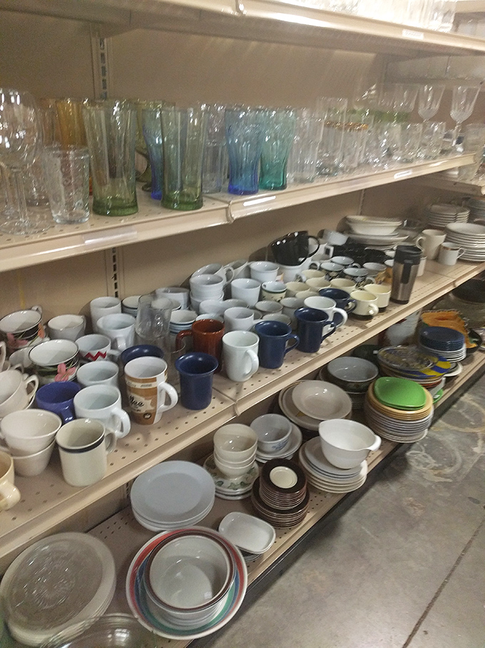 Glassware and mugs lined up like contestants in a beauty pageant. That perfect quirky coffee cup you didn't know you needed is definitely hiding here.