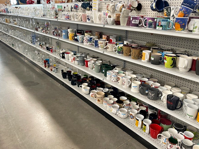 Mug collectors, rejoice! From Star Wars to vintage florals, these shelves hold the perfect vessel for your morning coffee ritual.