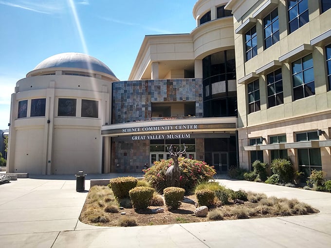 The Great Valley Museum offers intellectual stimulation for curious minds of all ages. Think of it as Netflix for your brain, but with actual human interaction.