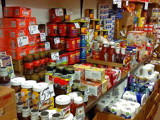 Grocery gold mine! Coffee canisters and pantry staples stand in formation like delicious little soldiers awaiting deployment to hungry homes.
