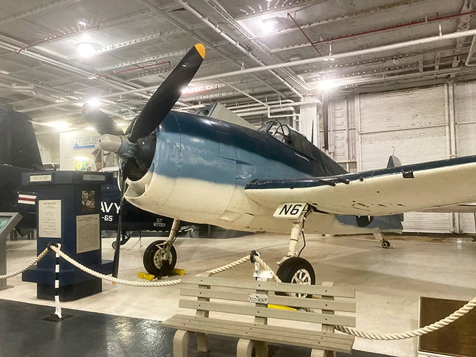 This beautifully preserved WWII fighter isn't just a plane – it's a time capsule with wings, telling stories of aerial combat that changed history.