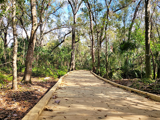 Nature trails at Hammock Park invite you to forget you're in Florida's most densely populated county. The only traffic here is the occasional armadillo.