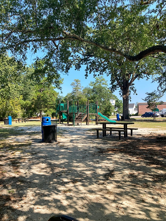 This playground tucked under majestic oaks offers kids the simple joy of outdoor play while parents enjoy the dappled shade &ndash; childhood as it should be.