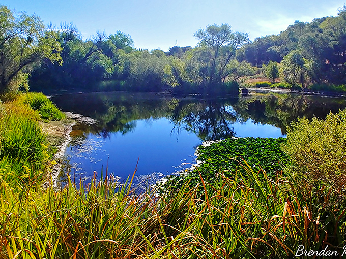 Mirror-like waters reflect Healdsburg's natural splendor, a reminder that sometimes the best wine country experiences don't involve actual wine.