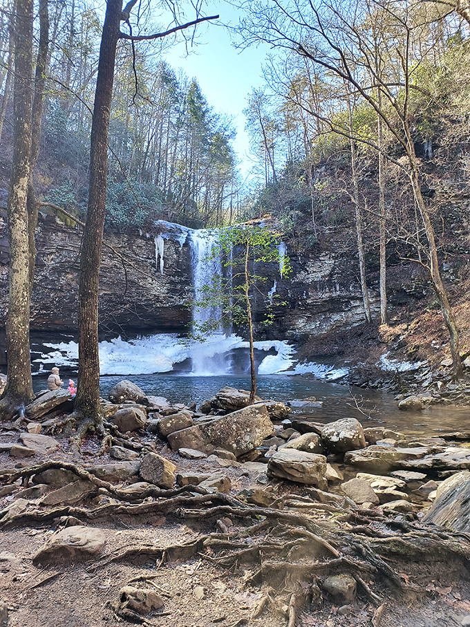 Hemlock Falls in winter reveals its icy personality. Like that friend who's cooler in person than on social media&mdash;literally and figuratively. 