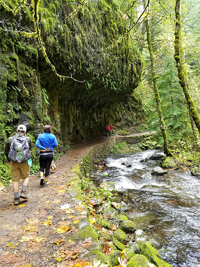 Hikers follow the trail alongside Wahkeena Creek, where every step offers a different perspective of this verdant Pacific Northwest paradise.