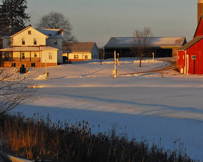 Winter's quiet beauty. Snow blankets the farmstead in hushed splendor, transforming the working landscape into a scene worthy of the finest holiday card.
