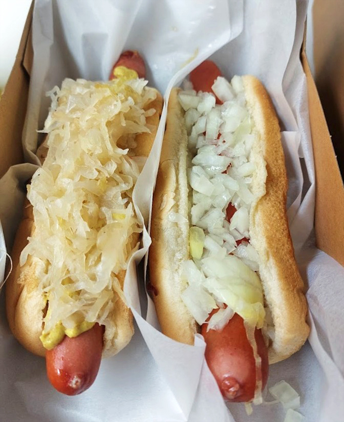 Two hot dogs, two different worlds – one with tangy sauerkraut, the other with diced onions. Like choosing between Sinatra and Dean Martin – both winners.