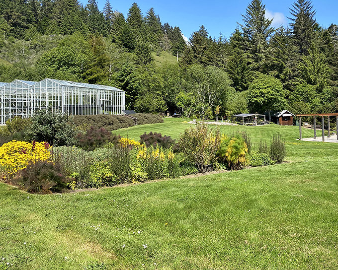 Humboldt Botanical Gardens showcase California's horticultural diversity with the precision of a painter's palette. Even the greenhouse looks like it belongs in a fairy tale.