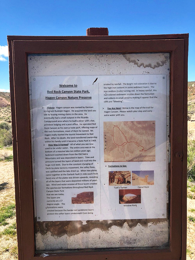 The park's history lesson awaits curious minds. This weathered sign reveals the geological drama that created these magnificent formations millions of years ago.