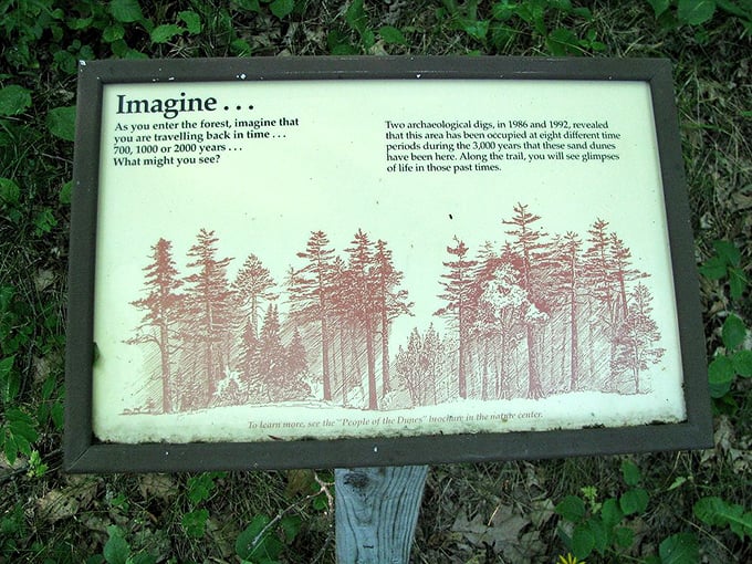 Time travel made simple. This weathered sign invites visitors to imagine the landscape across millennia, no DeLorean required.