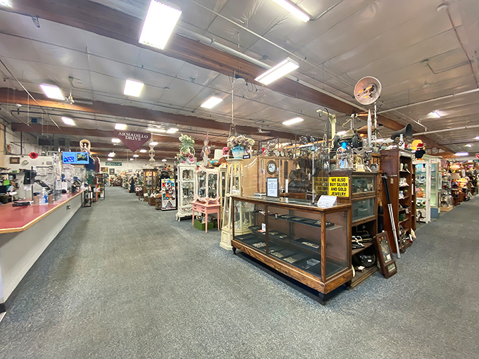 Display cases and wooden cabinets create a collector's paradise where forgotten treasures wait for their second act in someone's carefully curated home.