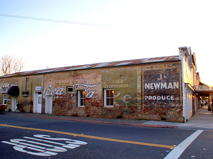 Faded advertisements tell stories better than history books. This Newman Produce building has witnessed more California seasons than most Hollywood marriages have survived.