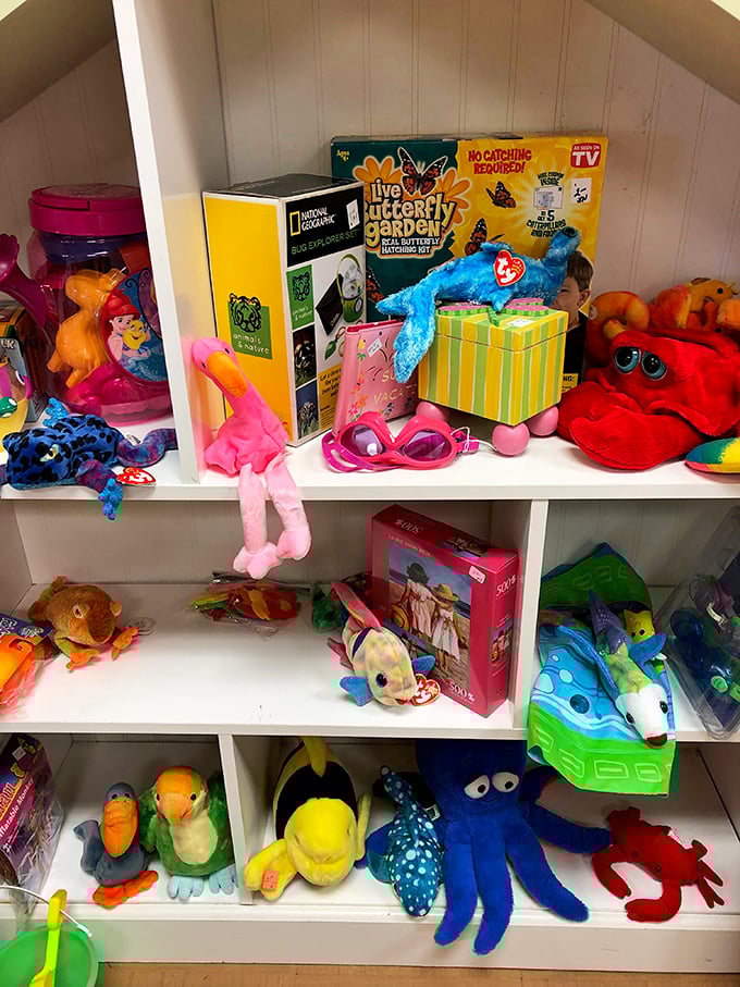 Childhood nostalgia sits patiently on these shelves, where forgotten toys await their next adventure with a new generation.