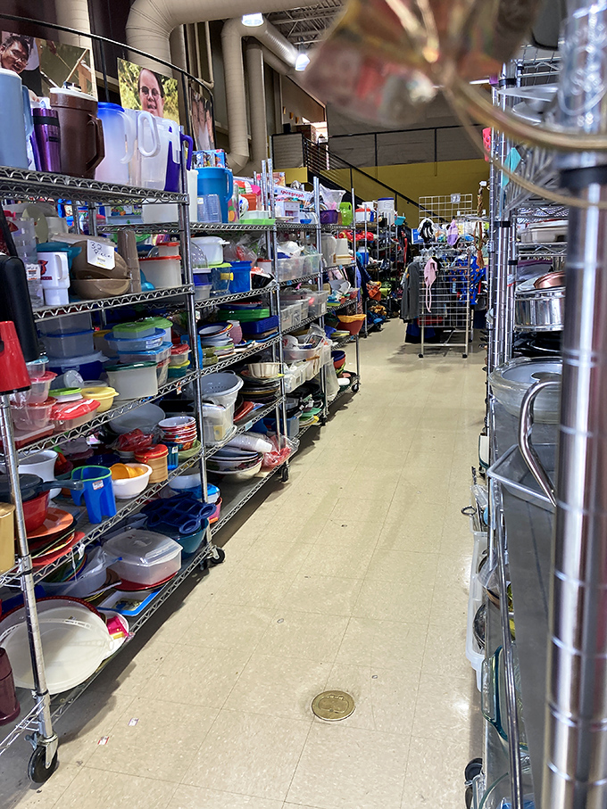 Kitchen gadget heaven awaits the culinary curious&mdash;where forgotten Tupperware finds new purpose and slow cookers get their second chance at Sunday dinner glory.