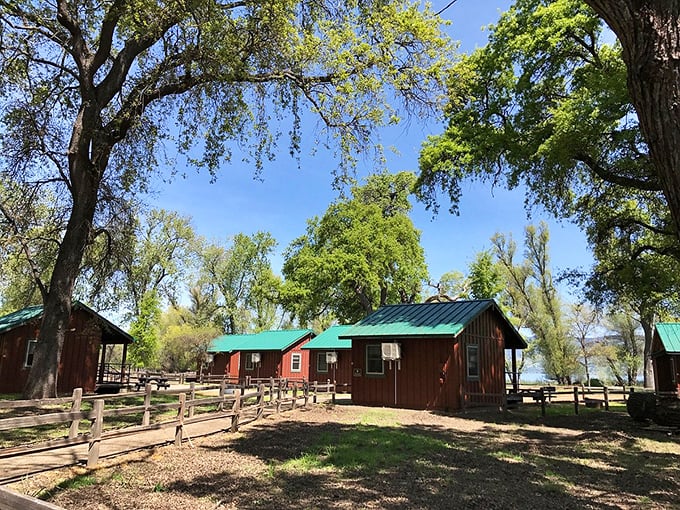 Lakeside cabins that whisper "put down your phone and pick up a fishing rod." These rustic retreats offer what no luxury hotel can&mdash;genuine simplicity.