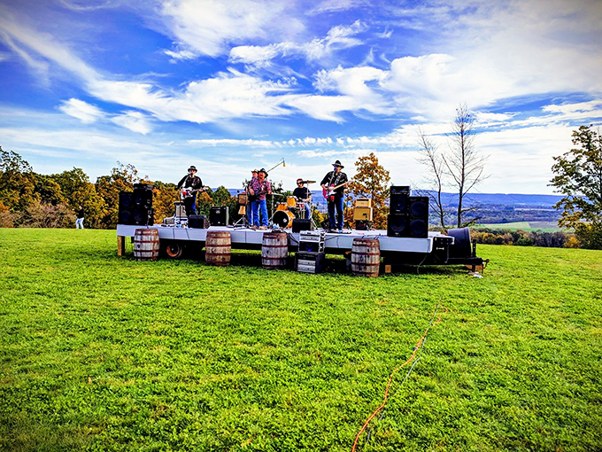 Live music at Oaks Vineyard creates magical evenings where entertainment and wine flow affordably together.