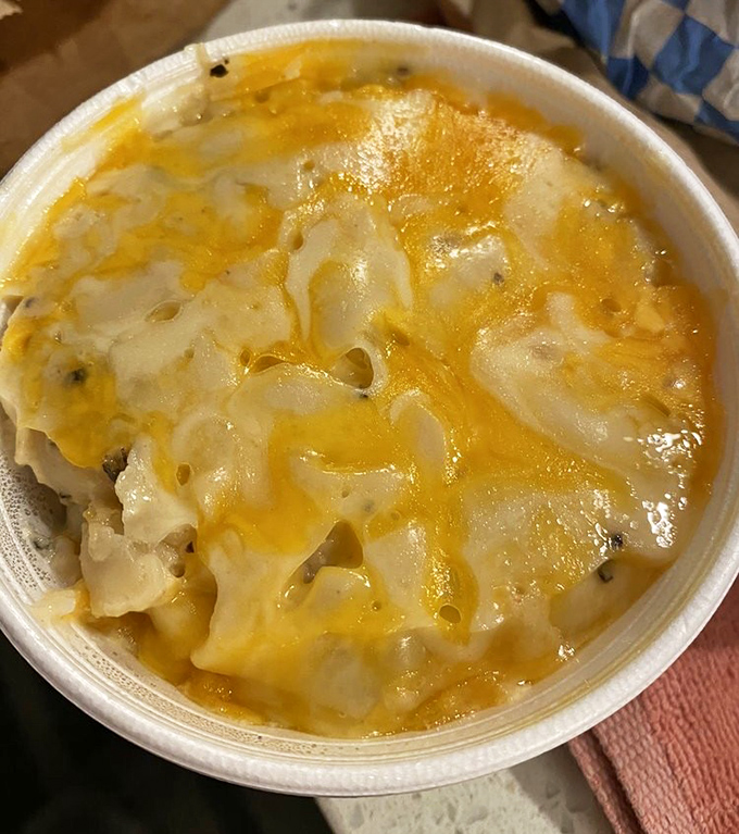 Mac and cheese that doesn't know the meaning of "subtle." This molten masterpiece demands your full attention.